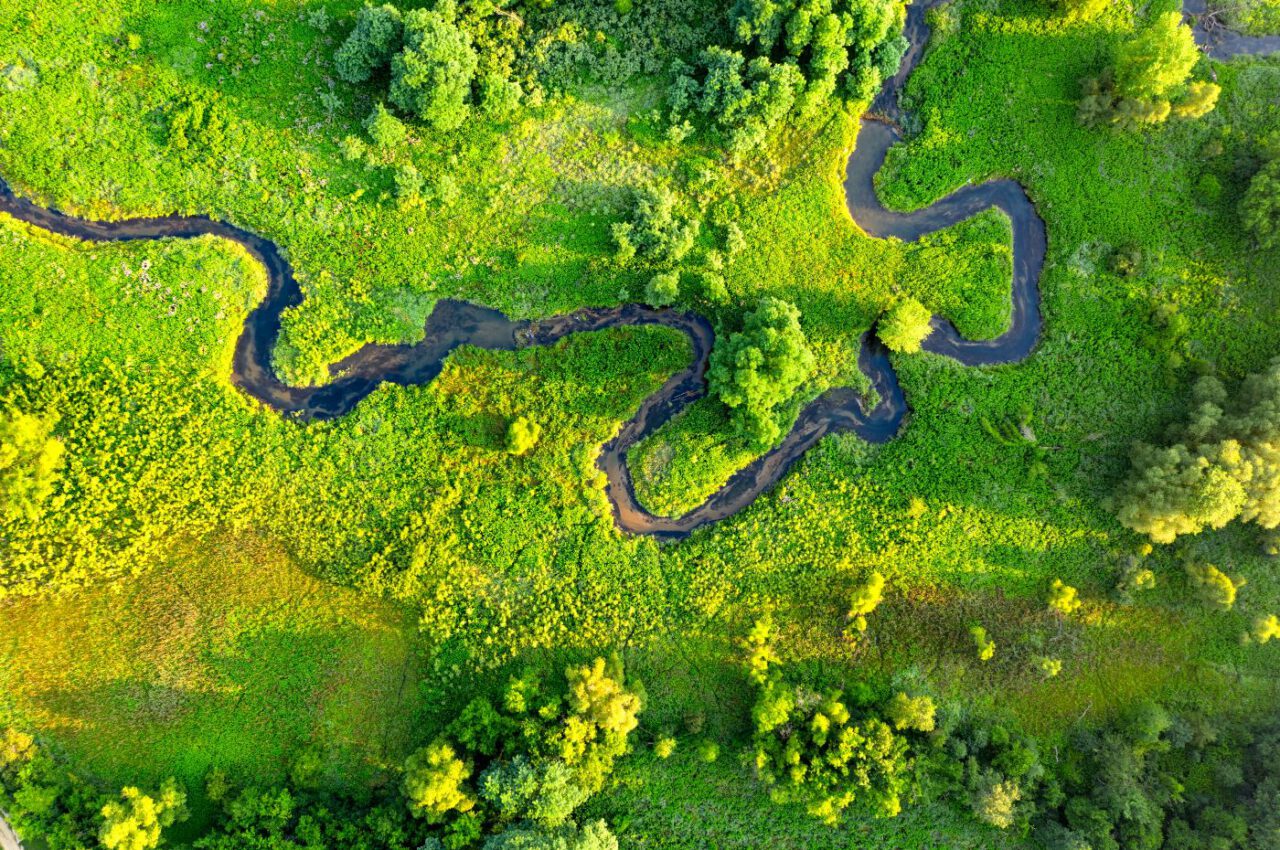 Servicios SW Chile | SW | Consulting