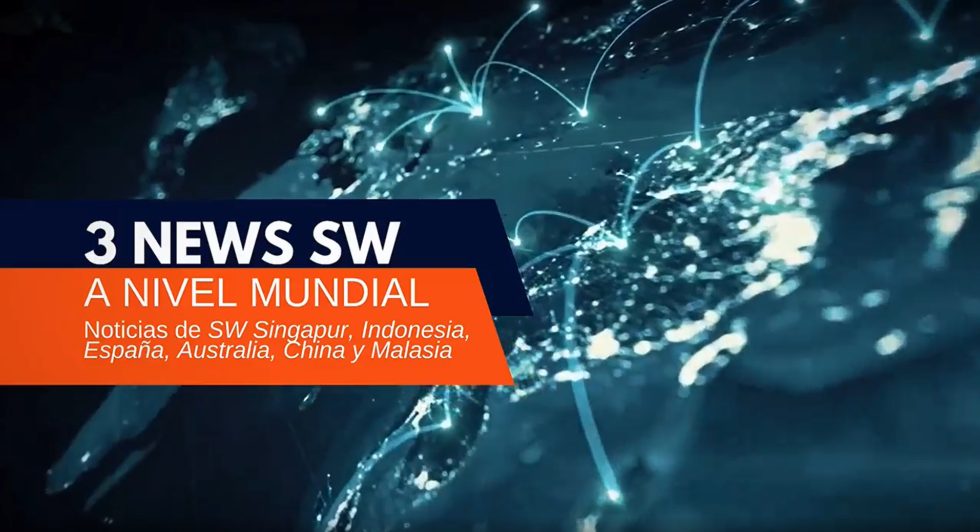 SW | Consulting | SW CONSULTING